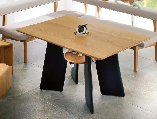 this is truly the cats dining table moment of all time | Fandom