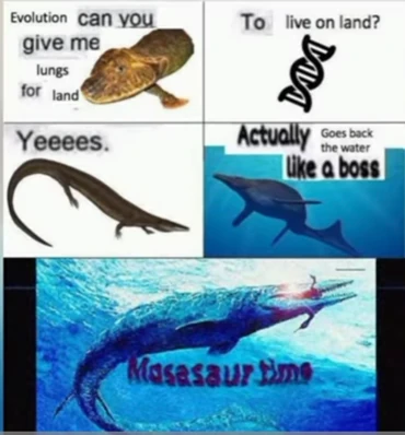 You travel to a river and try to catch fish with a wood spear, but it’s ...