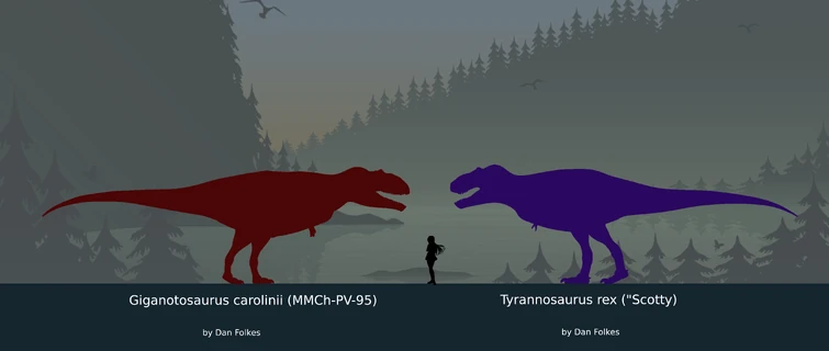 Important up-to-date size charts yo may need | Fandom