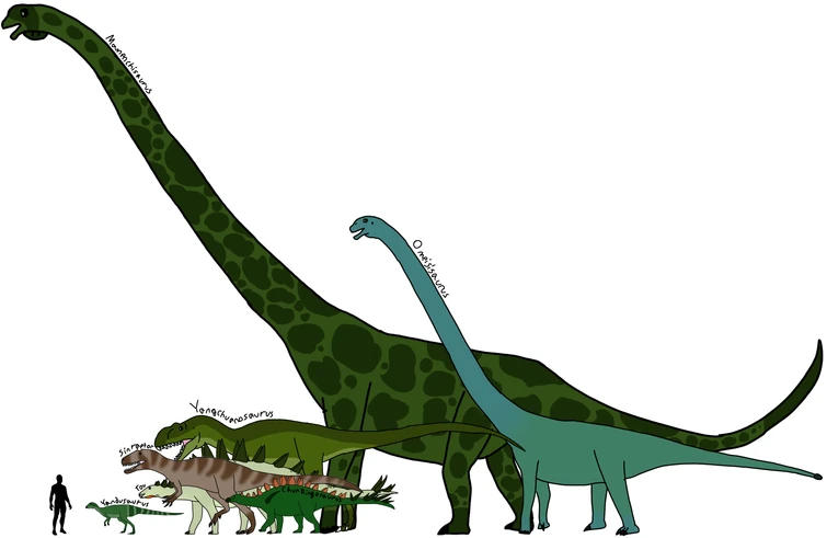 Discuss Everything About Dinopedia | Fandom