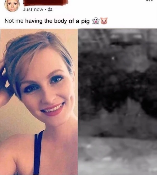 Body of a pig | Fandom