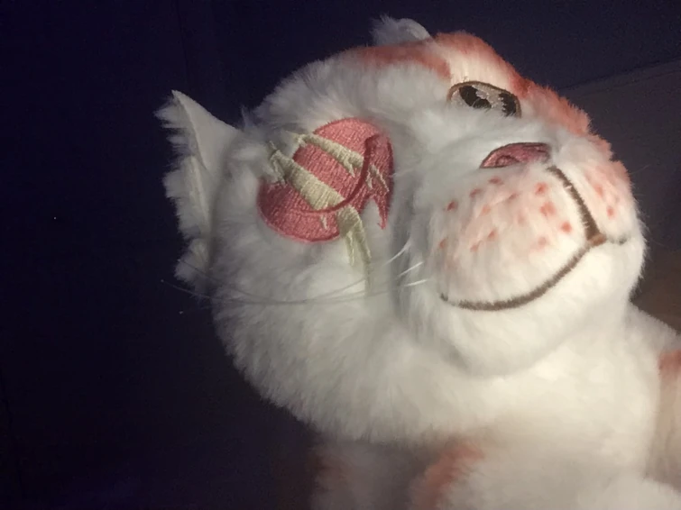 SHES HERE 🎉🎉🎉 | Fandom