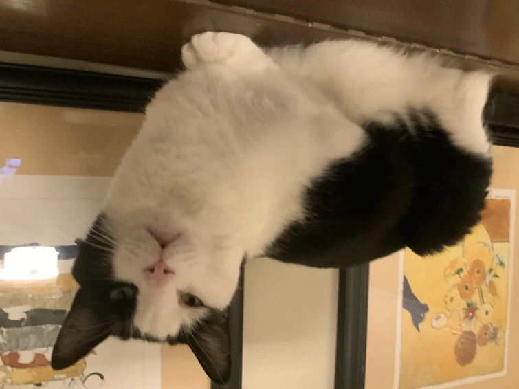 Trading/selling/buying some stuff | Fandom