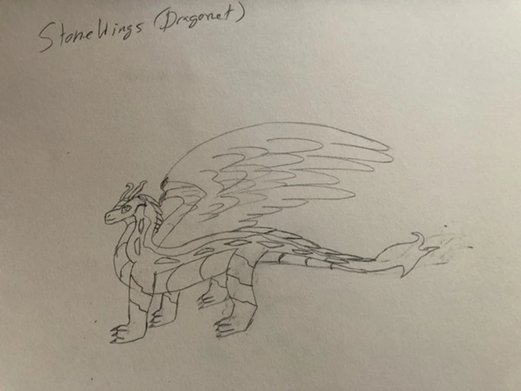 StoneWing drawings. (Dragonet) | Fandom