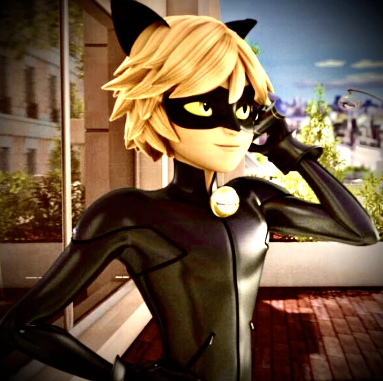 Cat noir edits | Fandom