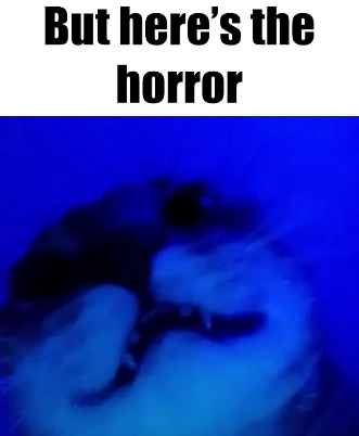 nah bro im done with youtube | Fandom