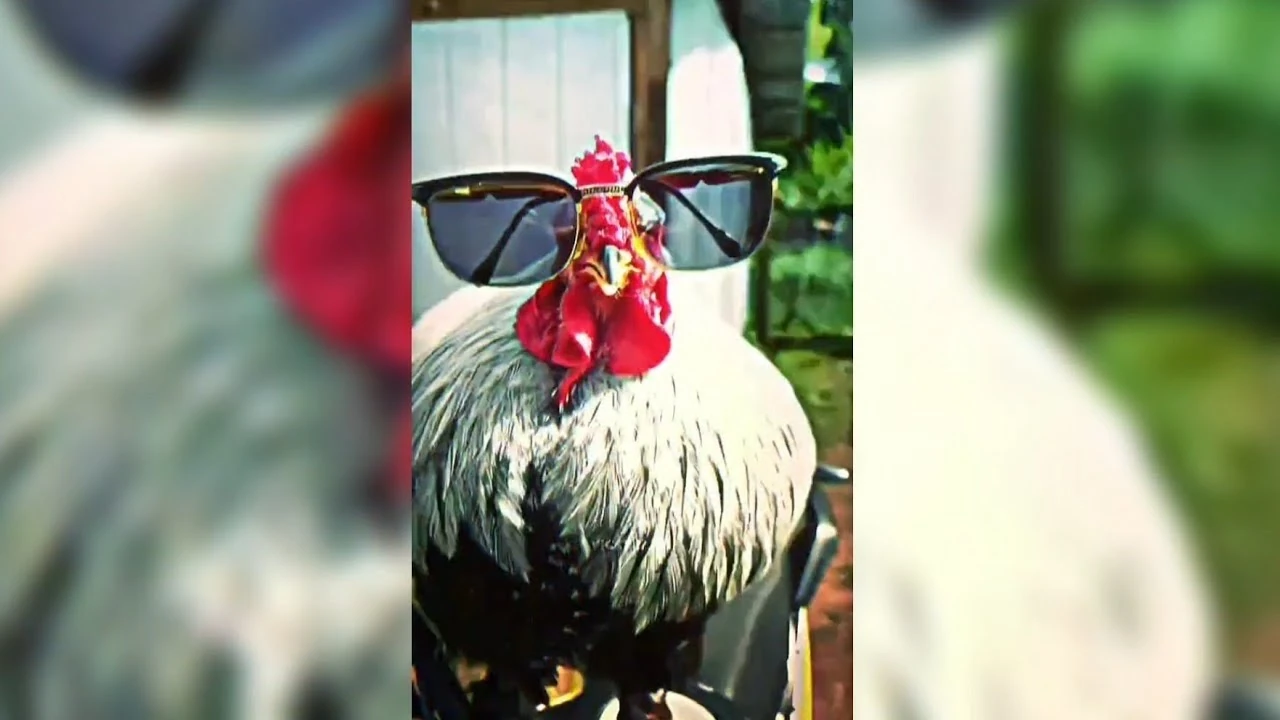 Me and the homies posed up waiting for the next ood lore drop | Fandom