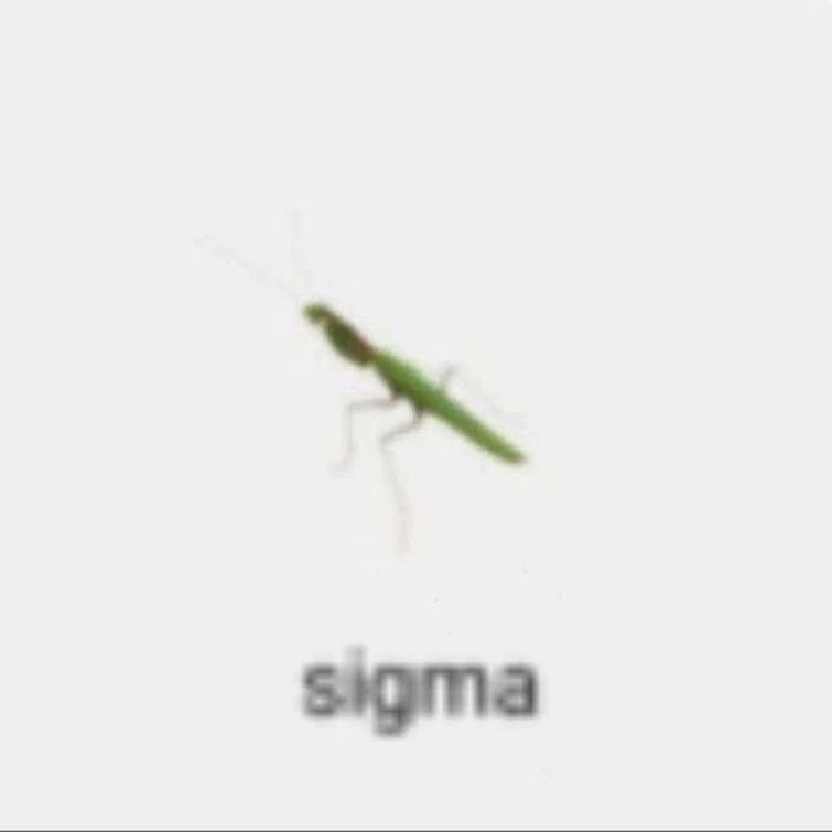 sigma | Fandom