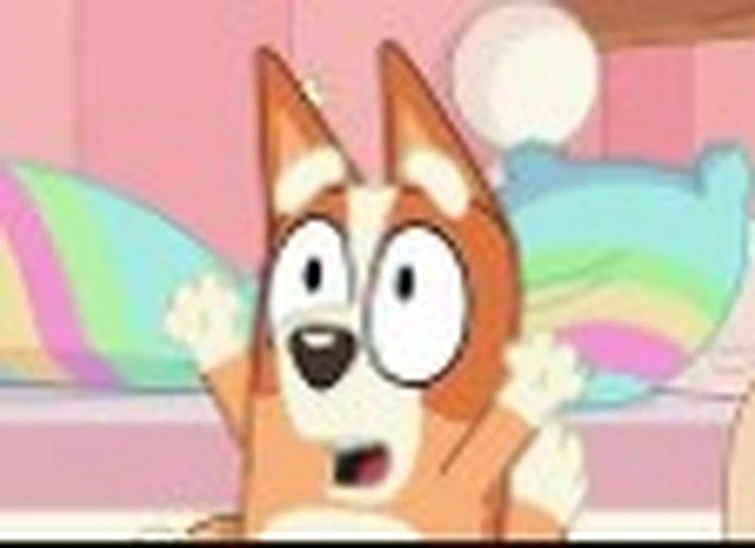 Discuss Everything About Bluey Wiki | Fandom