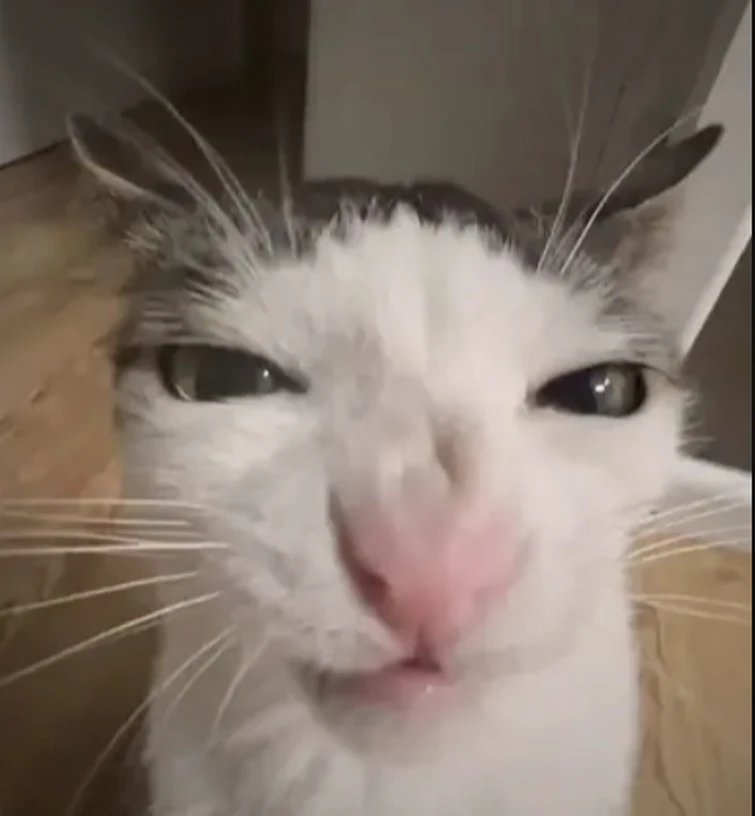 Is anyone else having vc problems? (FIXED) | Fandom