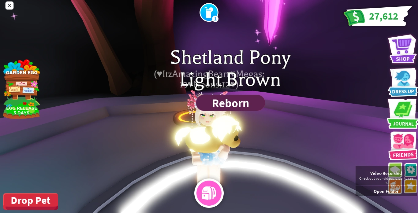 yum, Neon light brown shetland done! | Fandom