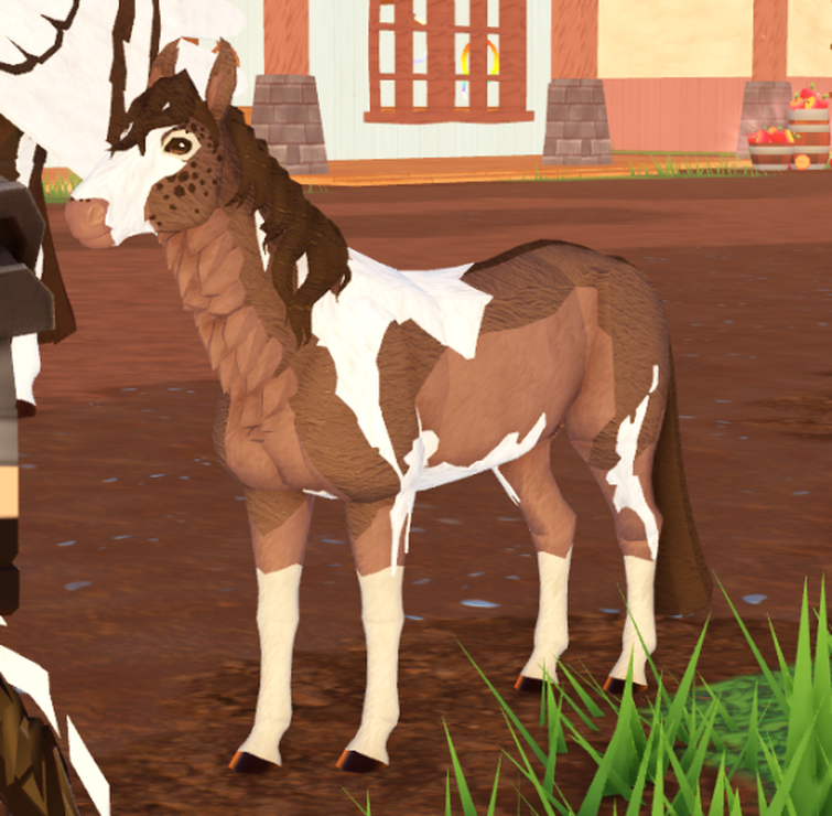 the perfect horse doesn't exis---- | Fandom