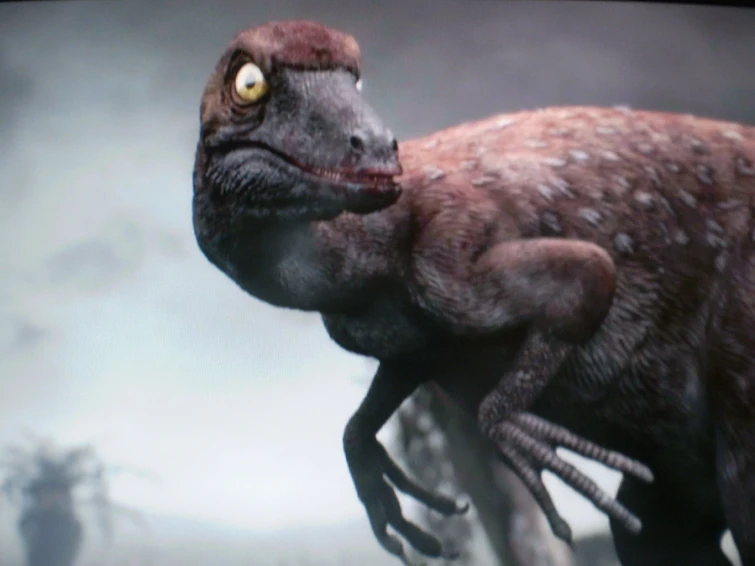 What was the species of troodontid in planet dinosaur? | Fandom