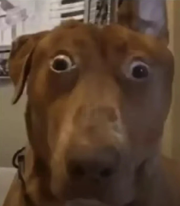 🤯🤯 viewer voting 9 | Fandom