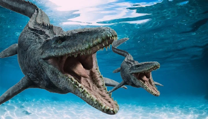 Mother Mosasaurus and baby Mosasaurus | Fandom