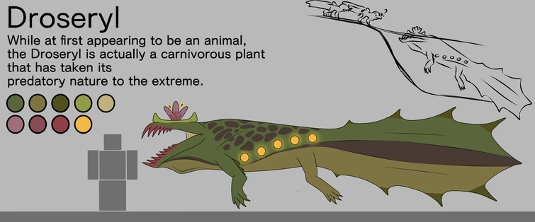 Some of my fan creatures | Fandom