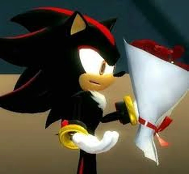 Who is Shadow giving Flowers to? (Wrong Answers) art by Sweet Angle ...