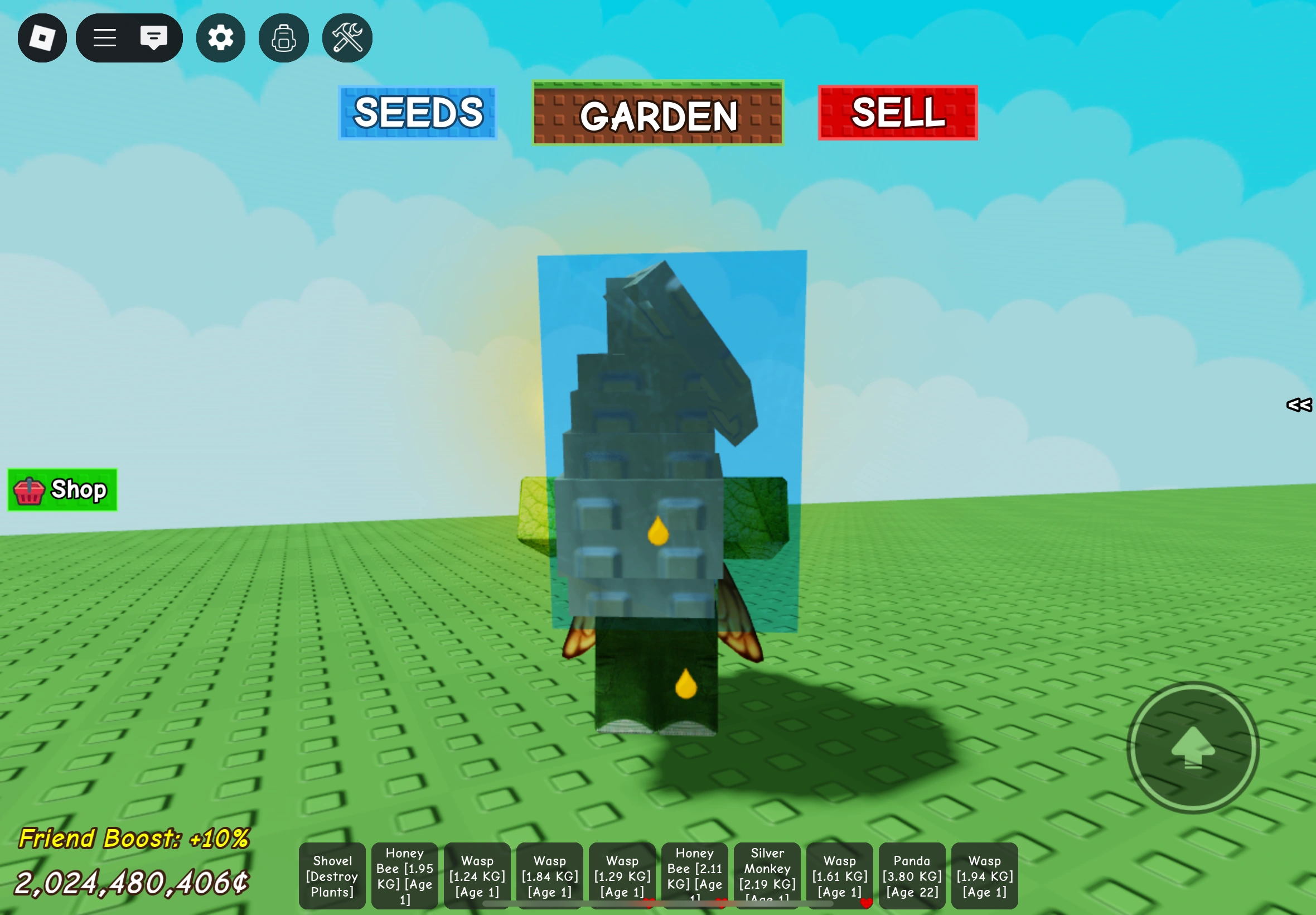 Mini mango :) | Fandom