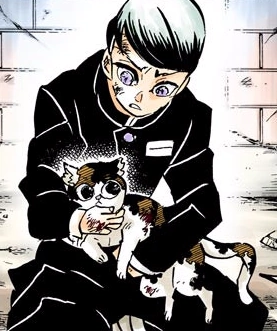 🌸Chachamaru🌸 | Fandom