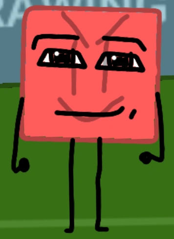 Blocky what happened to your face | Fandom