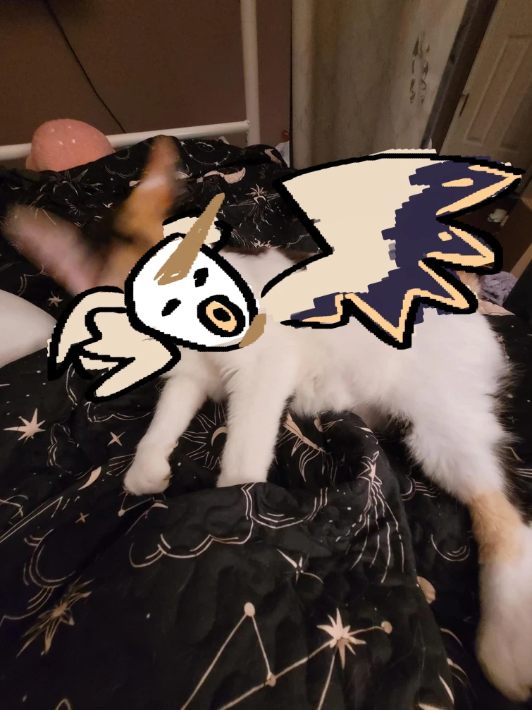 making your cats into pee cats | Fandom