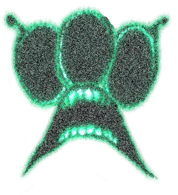 Custom C-150 | Fandom