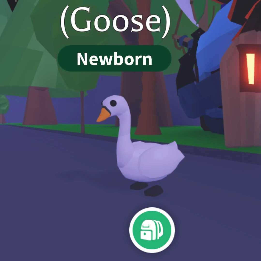 Is my goose rare? | Fandom