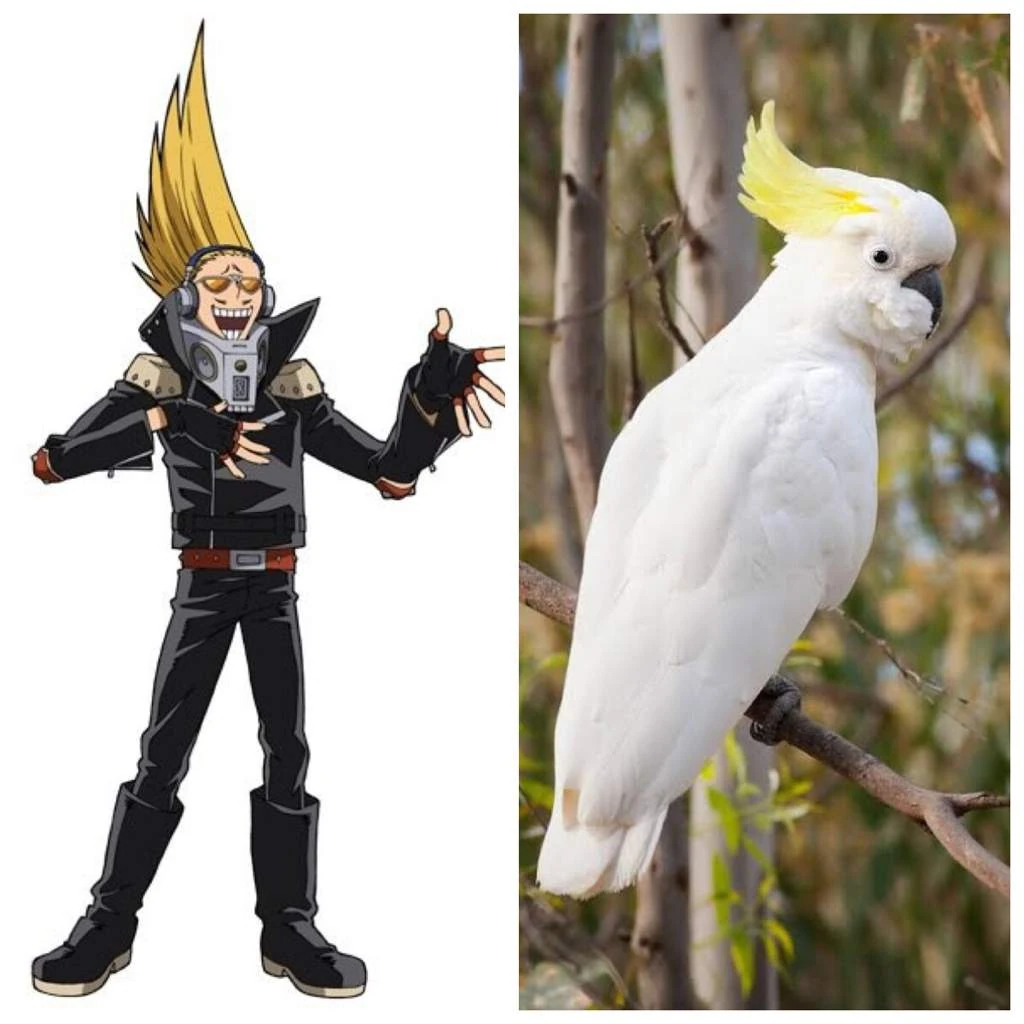 This is so true XD(he is cockatiel Hizashi/present mic) | Fandom
