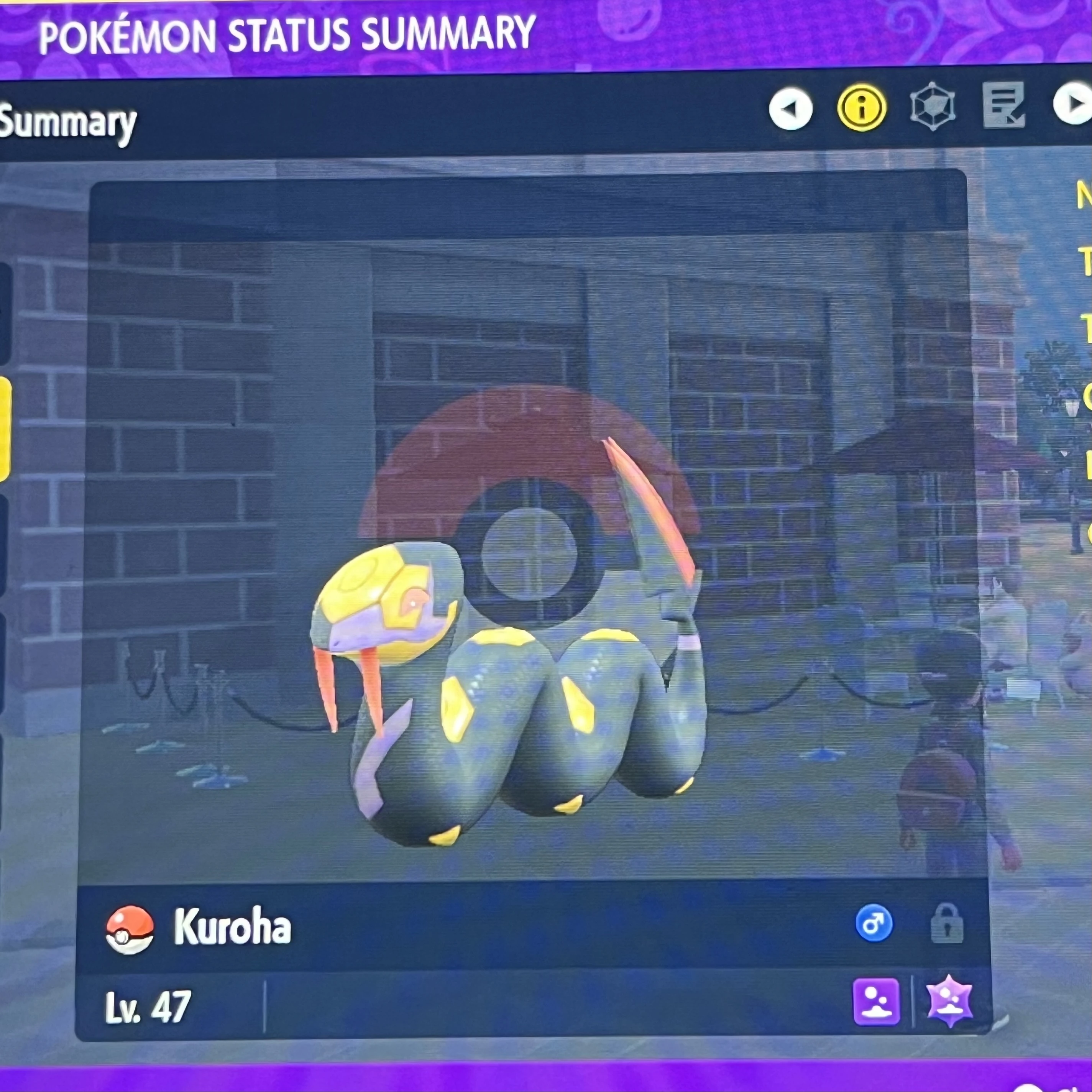 look at this snake | Fandom