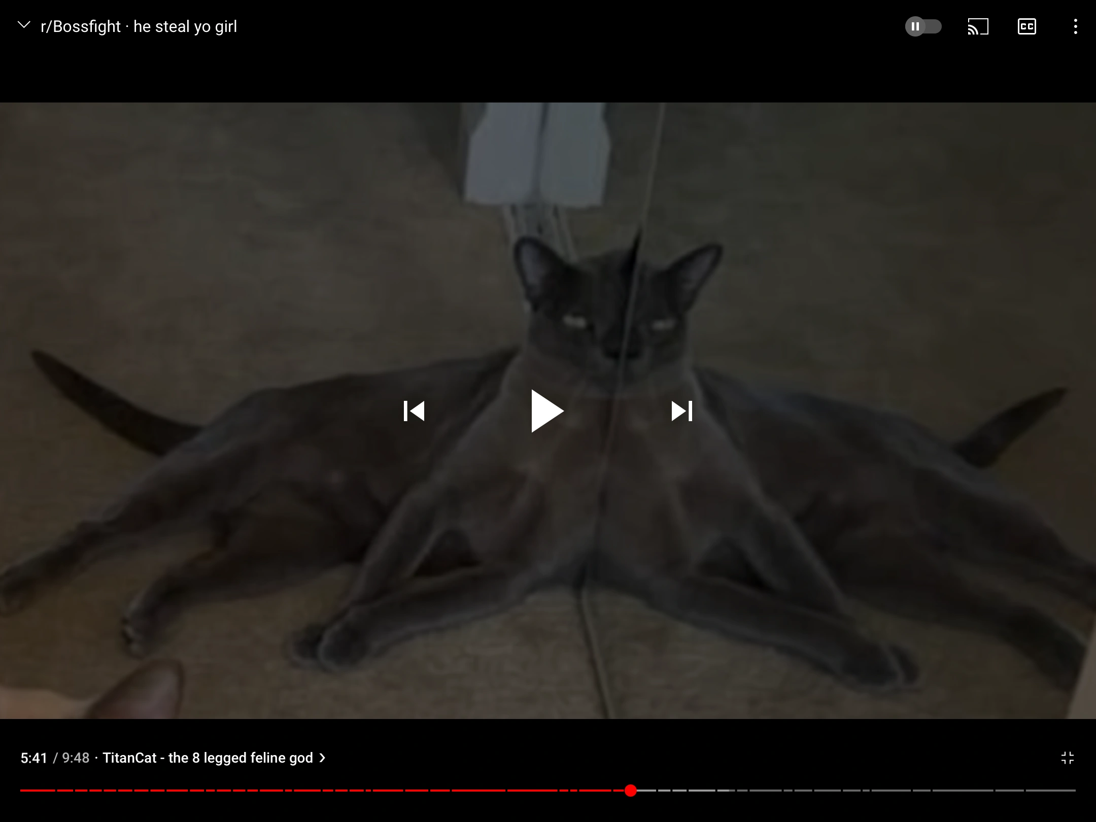 The REAL Titan Cat! | Fandom