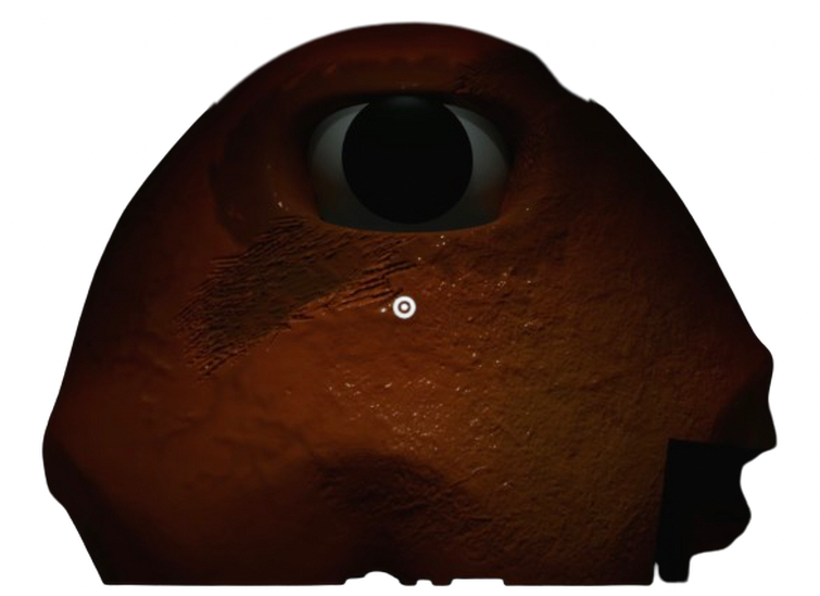 Stinger Flynn’s picture. | Fandom