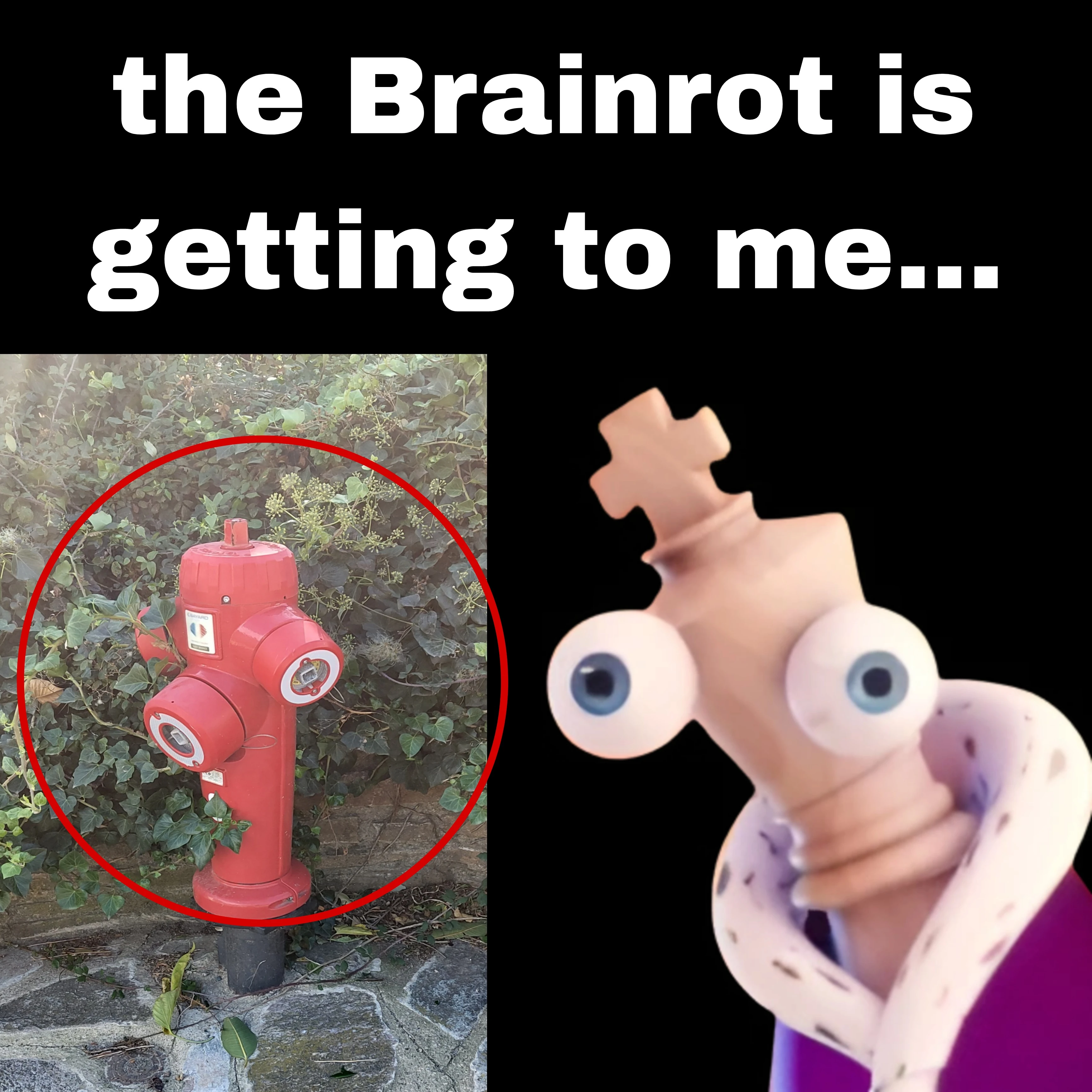 The TADC Brainrot... | Fandom