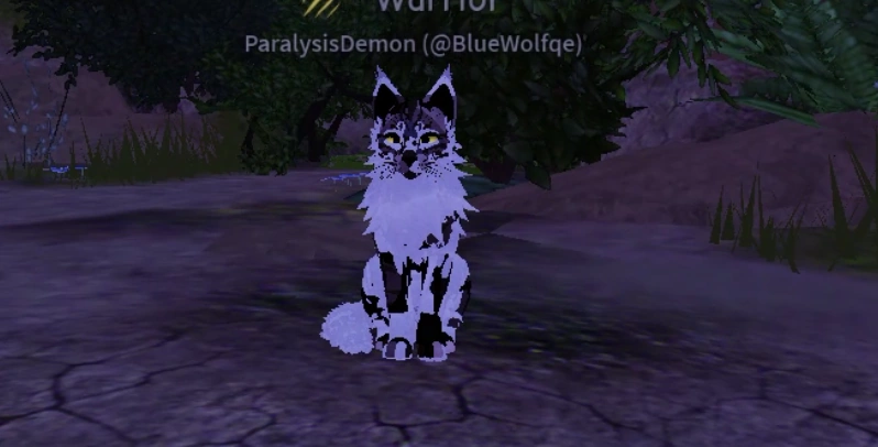 Swapping this oc (Morph trading/no gp.) | Fandom