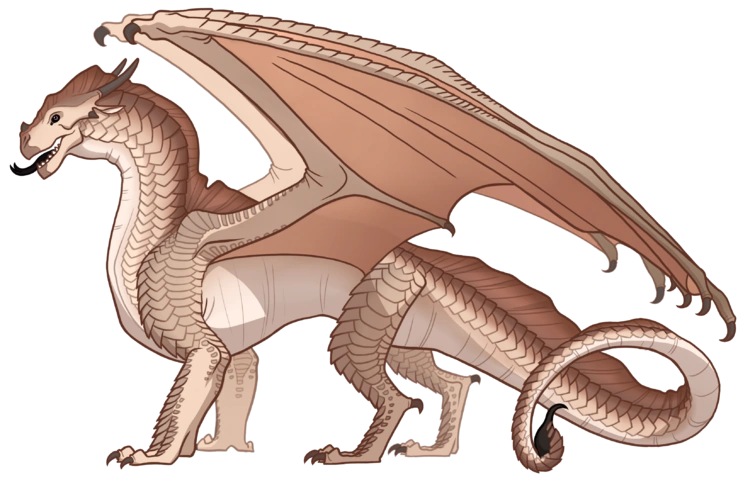 Ask Salamander! | Fandom