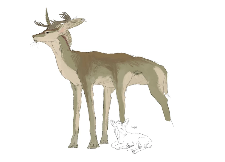 Weird deer thing ooooo :1 (art Wip) | Fandom