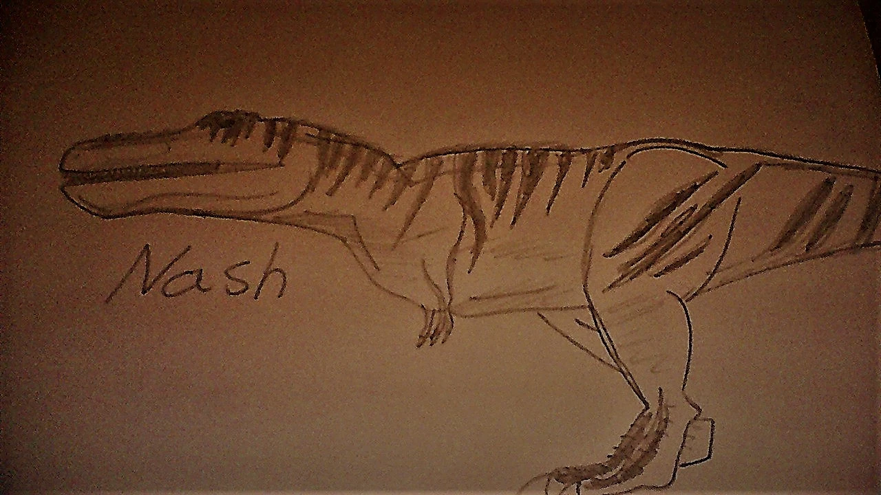tarbosaurua bataar drawing (ok, i am not good) | Fandom