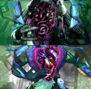 Sangheili | 26th century Wiki | Fandom