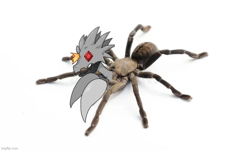 spooder but high quality | Fandom