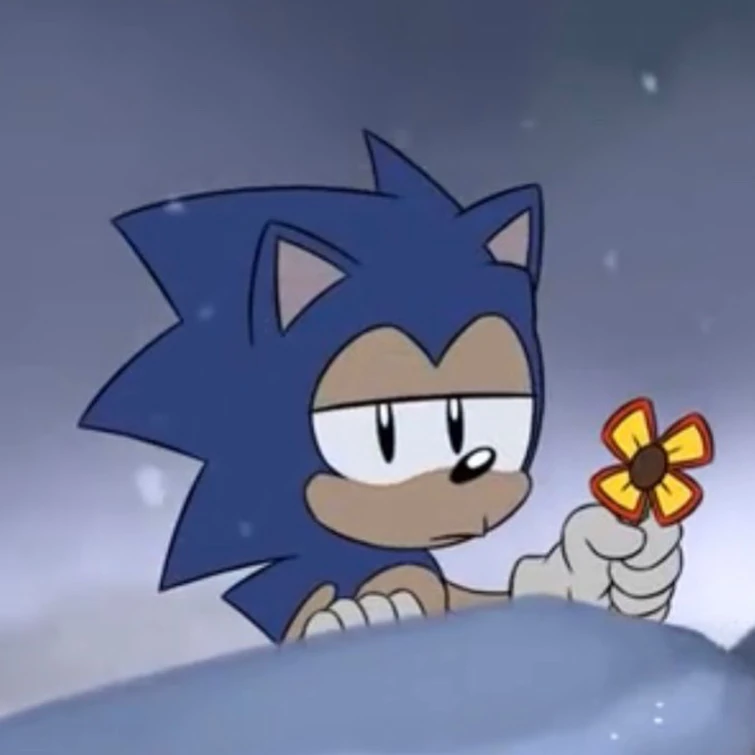 Discuss Everything About Sonic Wiki Zone | Fandom