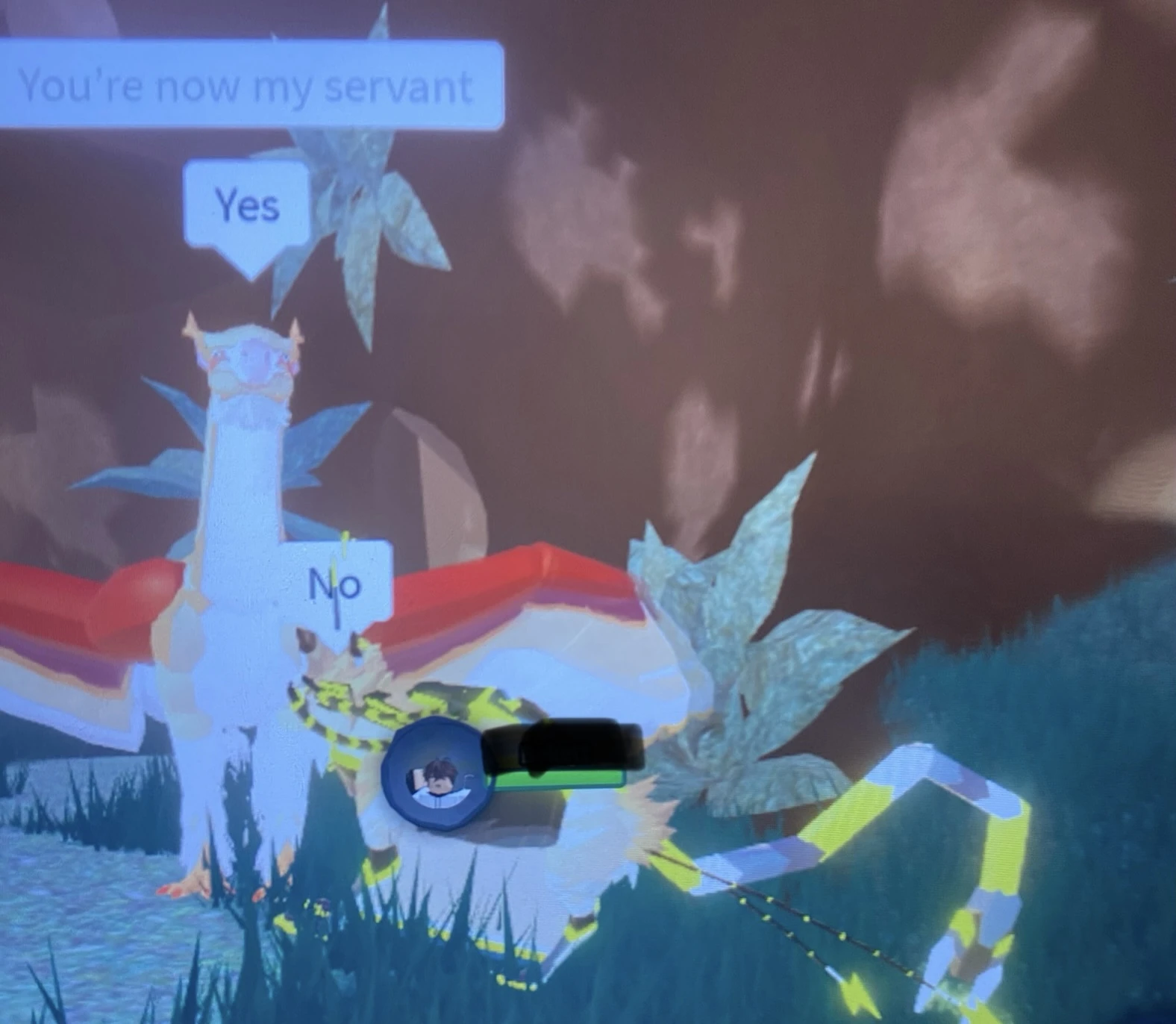 Met a goofy queen today | Fandom