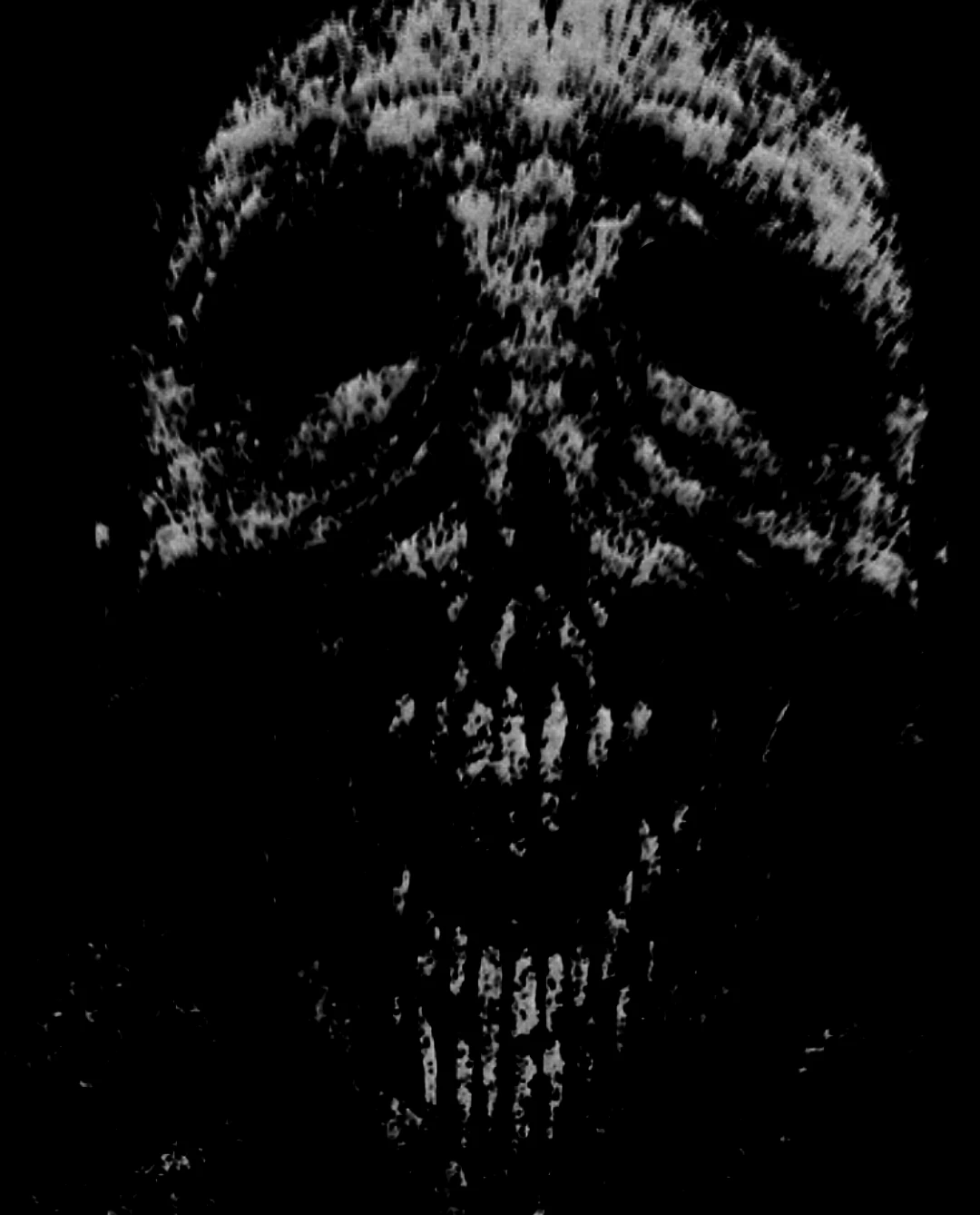 Phase 211000 | Fandom