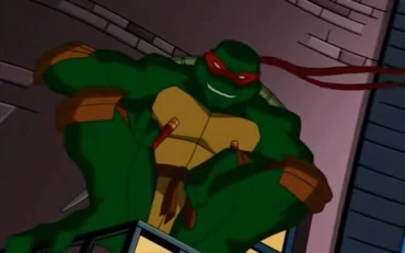Welp, 5th TMNT VS poll! Raphael vs Elektra(Marvel)! Who's gonna sai ...