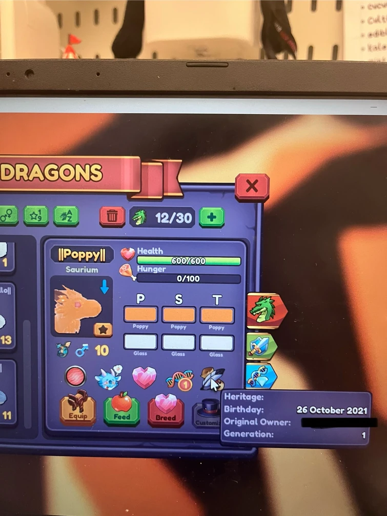 Discuss Everything About Dragon Adventures Wiki | Fandom