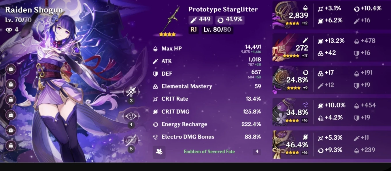 Raiden build question | Fandom