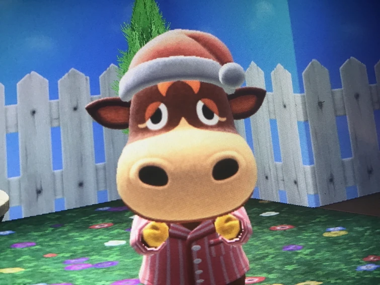 Discuss Everything About Animal Crossing Wiki | Fandom