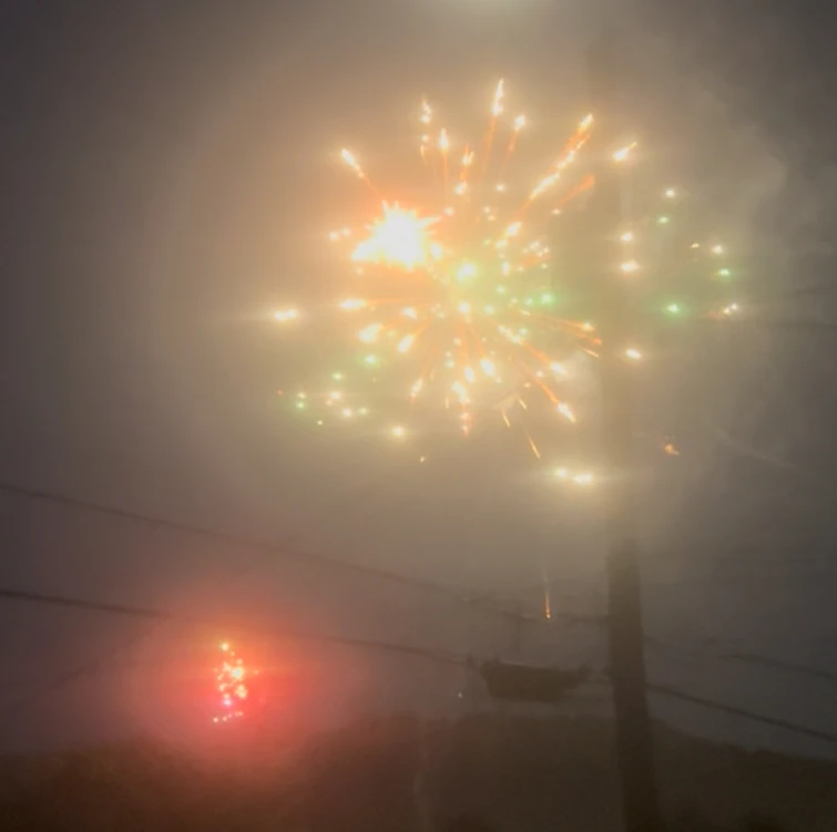 I just went outside to the end of my driveway with my mom to watch fireworks | Fandom