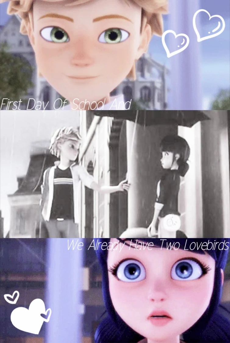 Miraculous Edit Day #19 | Fandom