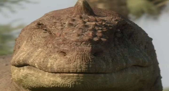 Make memes out of this image | Fandom