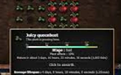 jucy queenbeet | Fandom