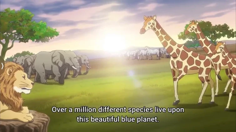 Discuss Everything About NatureRules1 Wiki | Fandom